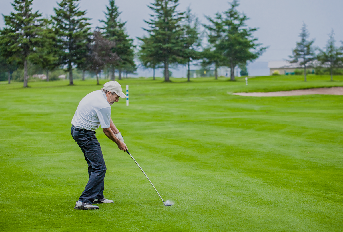 Case Studies | Primus Software Solutions